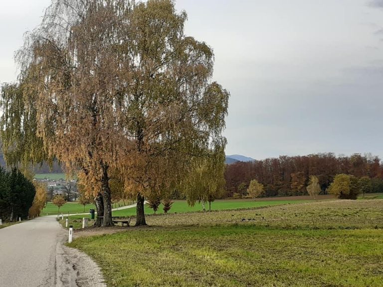 Ohlsdorfer Plätze – Wahre Schätze | SPÖ Ohlsdorf